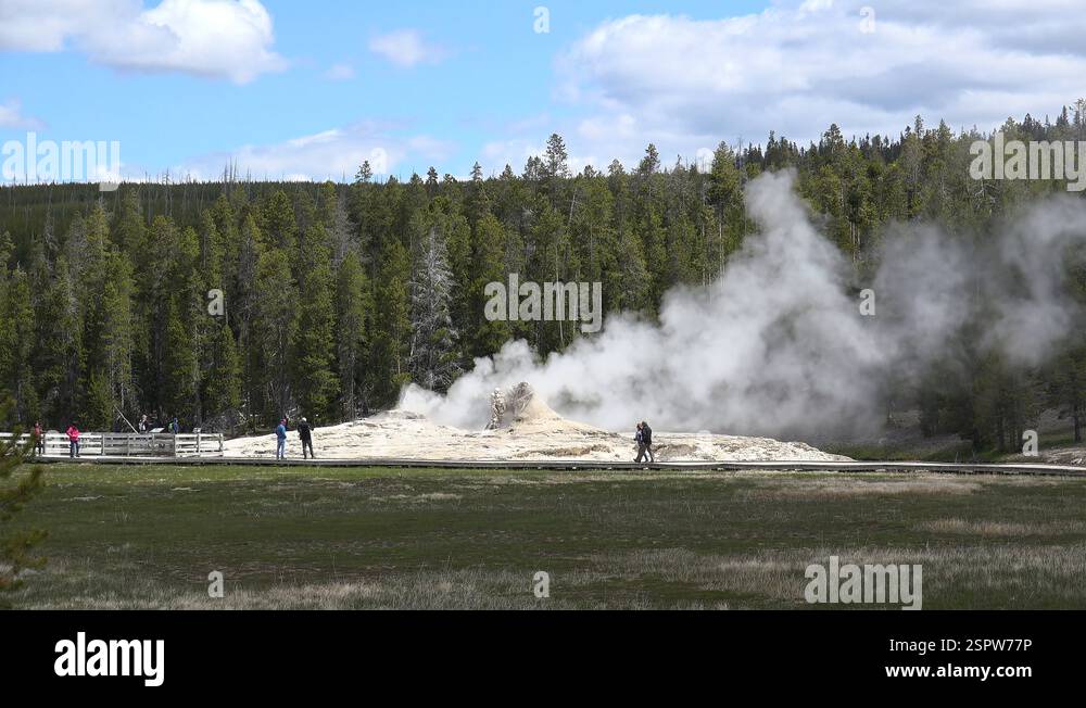 Evaporation of Giant Geyser at Upper Geyser Basin. Yellowstone NP Stock ...
