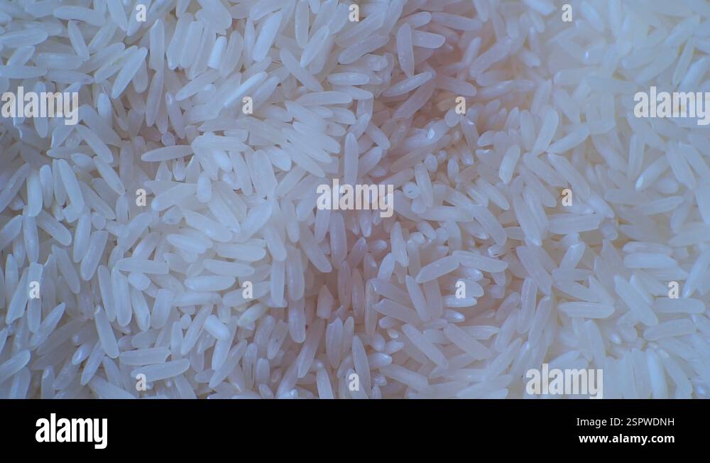 peeled ripe grain of rice.closeup.motion background Stock Video Footage ...