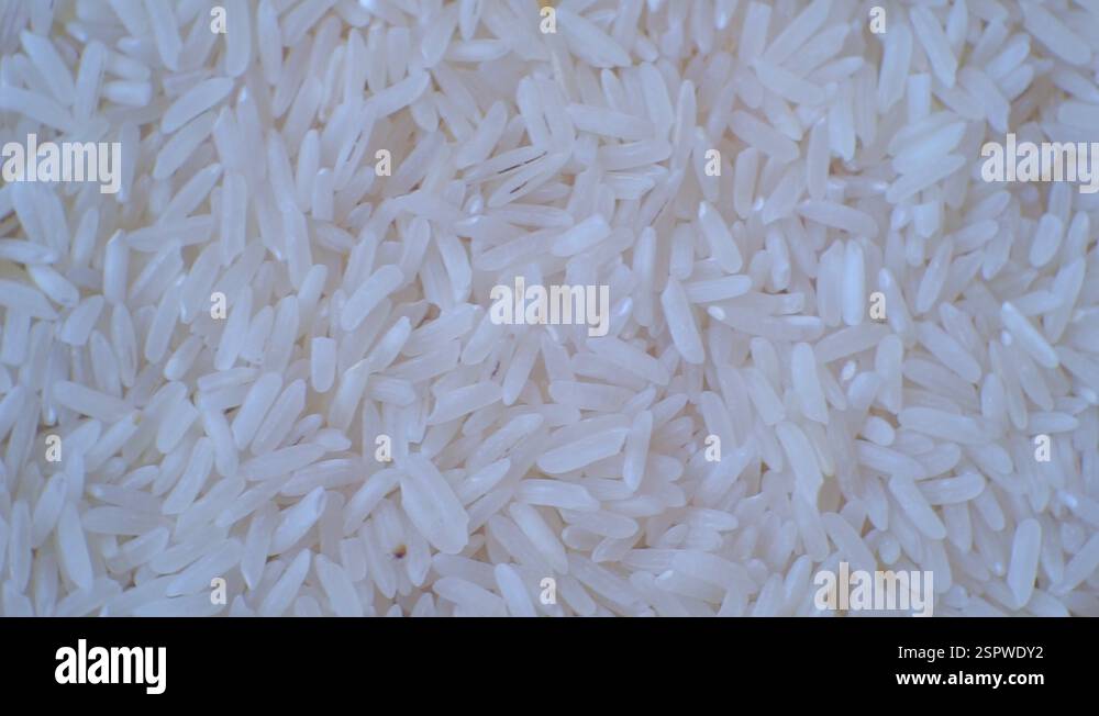 peeled ripe grain of rice.closeup.motion background Stock Video Footage ...
