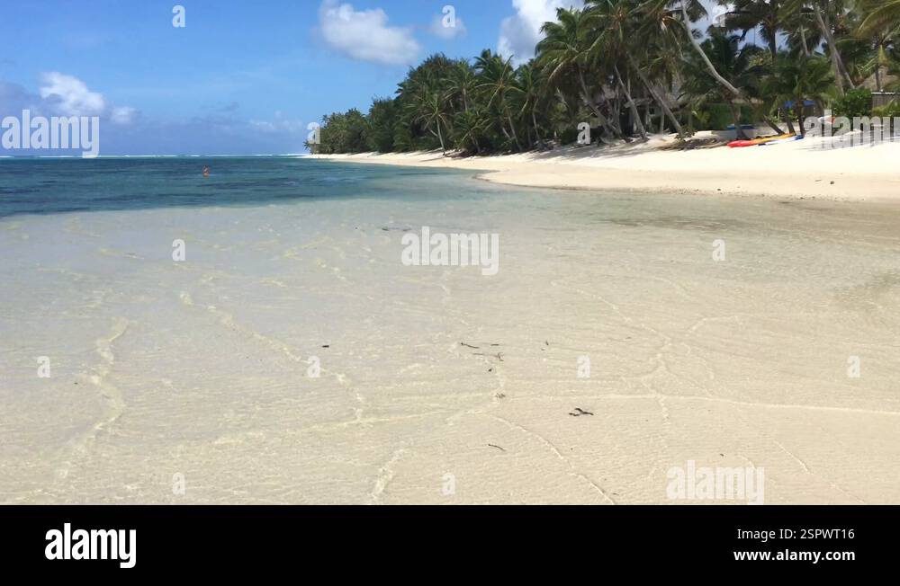 Landscape of Coconut palm trees on Titikaveka beach Rarotonga Cook ...