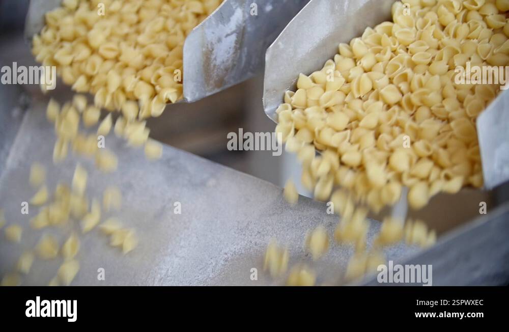 Dropping macaroni from a conveyor belt at the pasta factory Stock Video ...