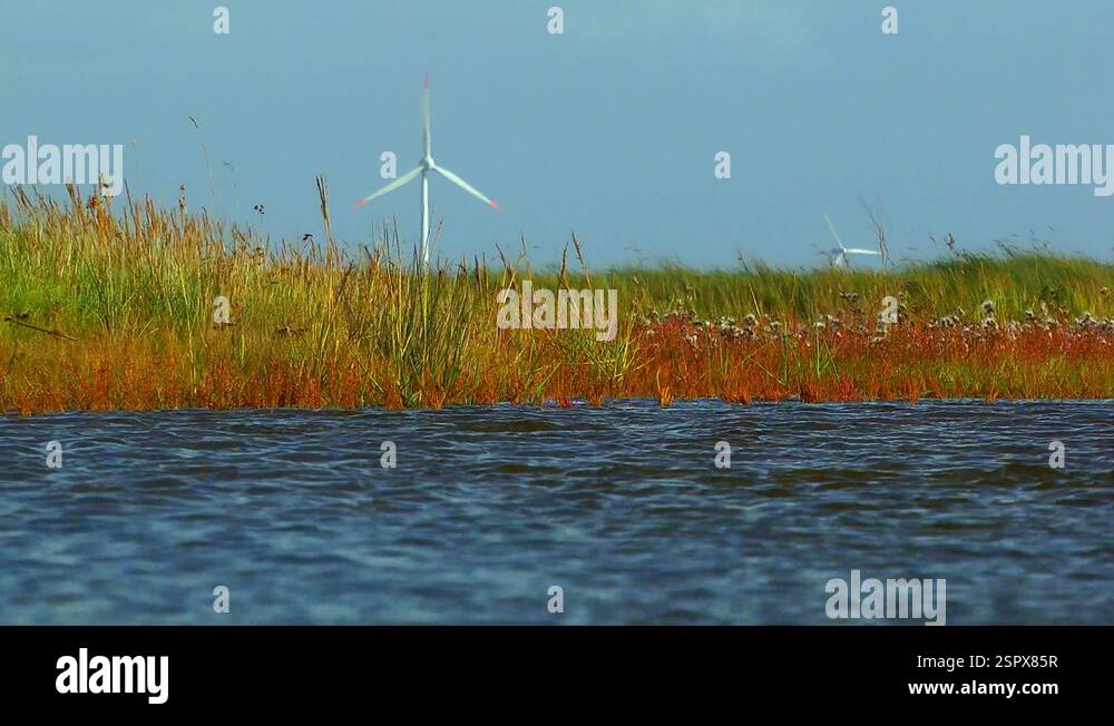 Wind engines behind swamp, intertidal mudflats, Borkum, North Sea ...