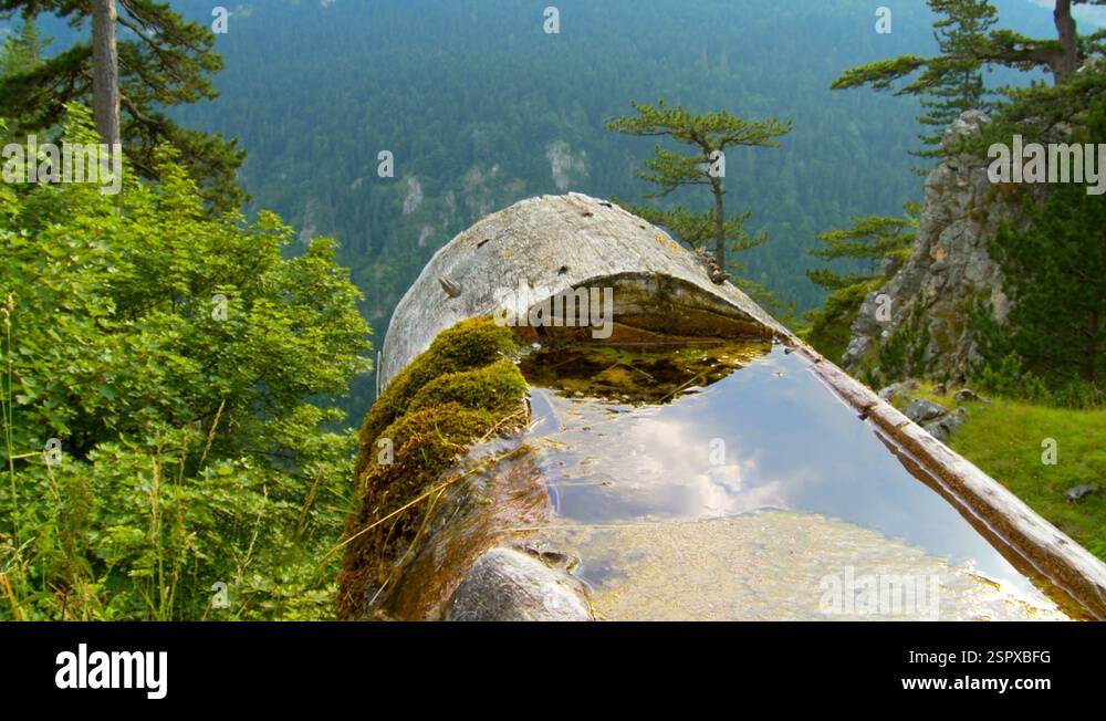 Natural spring of water in a wooden trough on the mountain Stock Video ...