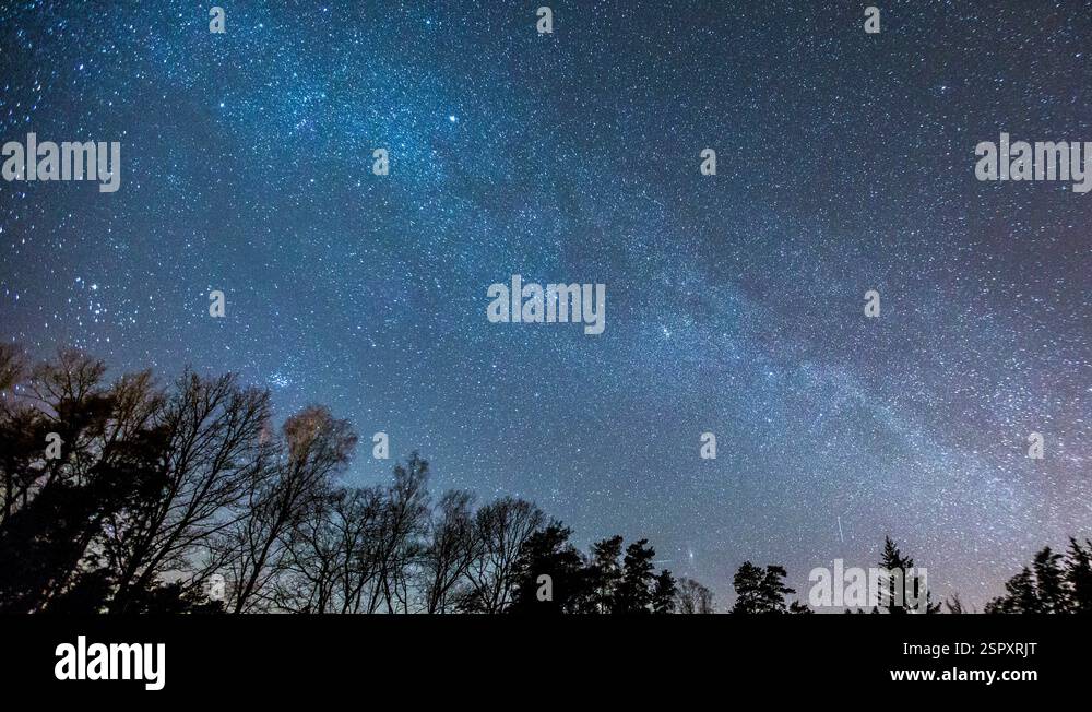 4k time-lapse with Milky Way and starry sky over forest Stock Video ...