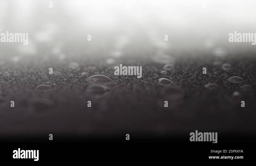 Dew drops building and creating condensation. Macro water drops on a ...