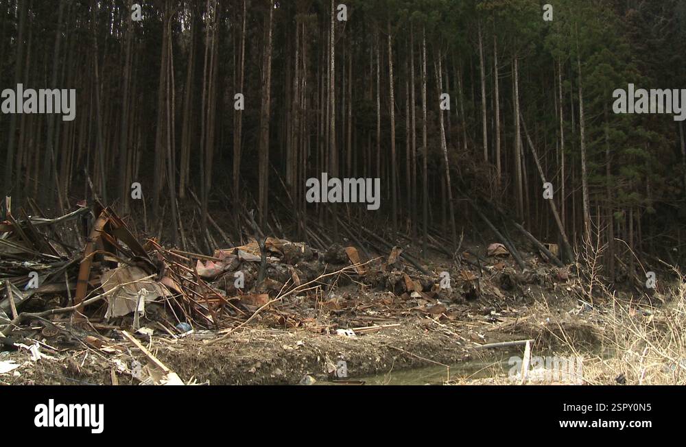 Japan Tsunami Aftermath - Burnt Out Debris And Trees In Shizugawa City ...