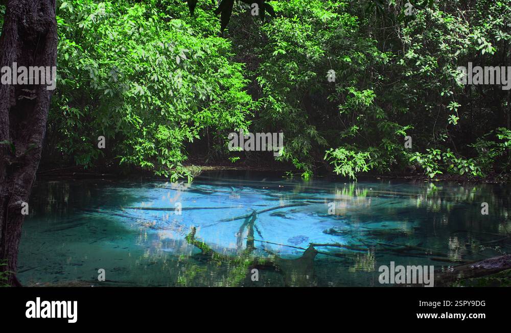 Sra Morakot Blue Pool at Krabi Province in Thailand. Famous Natural ...