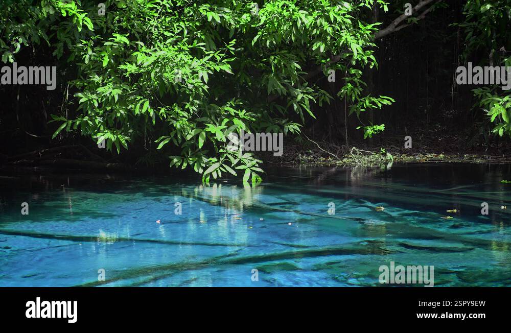 Sra Morakot Blue Pool at Krabi Province in Thailand. Famous Natural ...