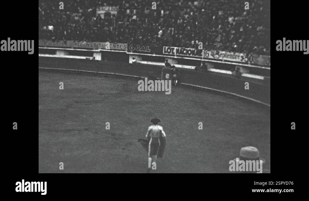 Cut the bull Stock Videos & Footage - HD and 4K Video Clips - Alamy