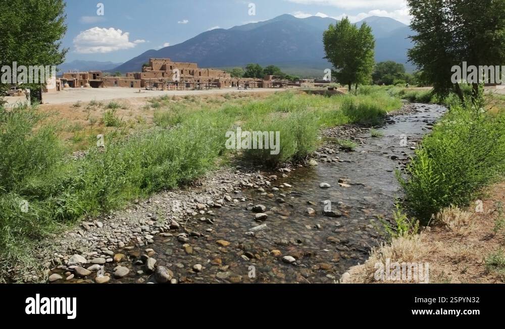 Red willow Stock Videos & Footage - HD and 4K Video Clips - Alamy