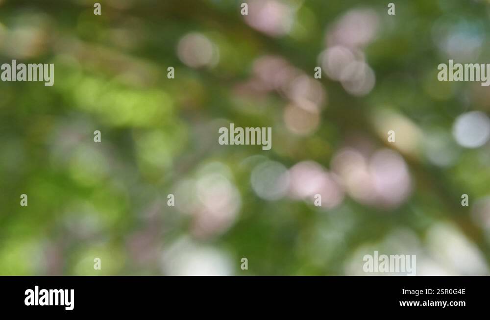 Bokeh blur moving multi-color Stock Video Footage - Alamy