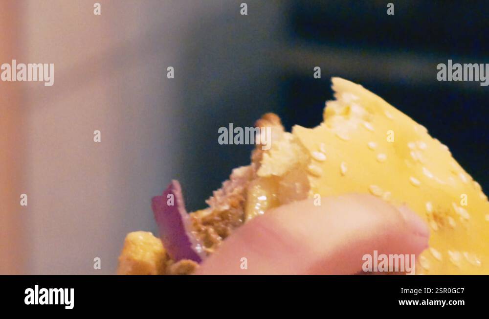 Burger in hand Stock Videos & Footage - HD and 4K Video Clips - Alamy
