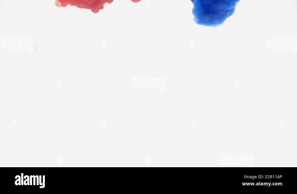 Blue and Red Ink mixing together over a pure white background ...