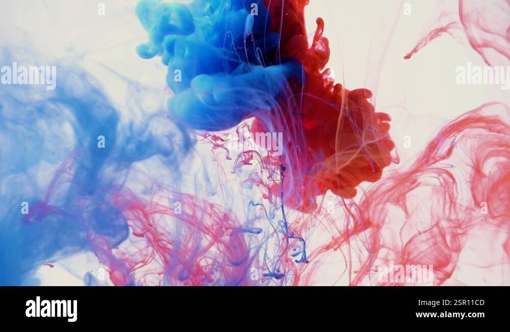 Blue and Red Ink mixing together over a pure white background ...