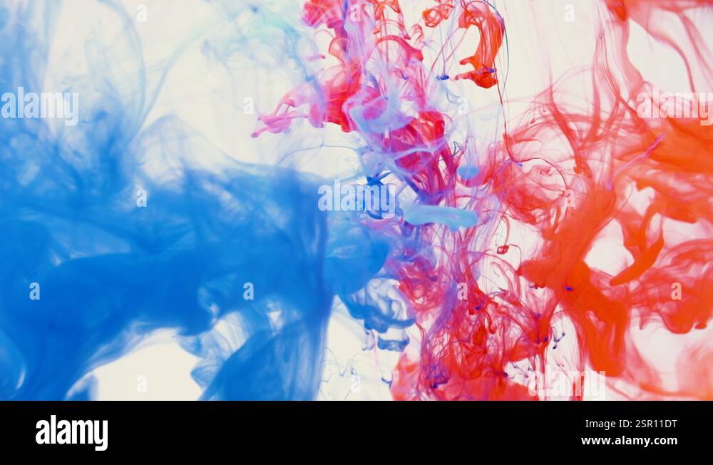 Blue and Red Ink mixing together over a pure white background ...