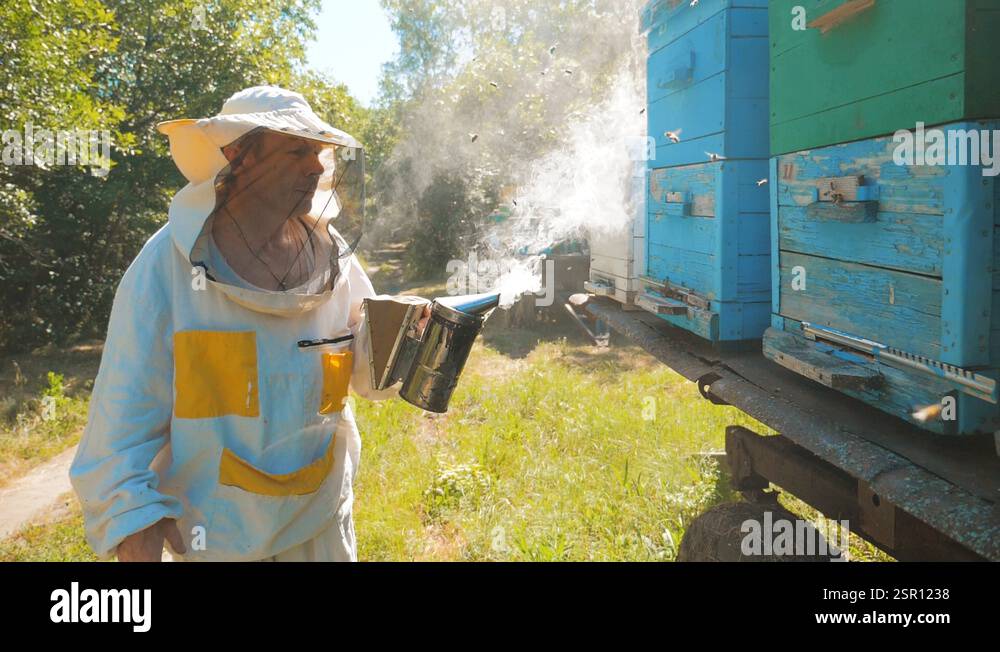 bee-maker beekeeper man working of a smoke pipe beeper wooden hives ...