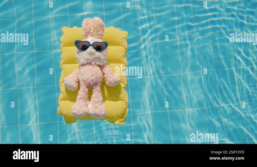 A cool rabbit in sun glasses glows on an inflatable mattress. Floats in ...