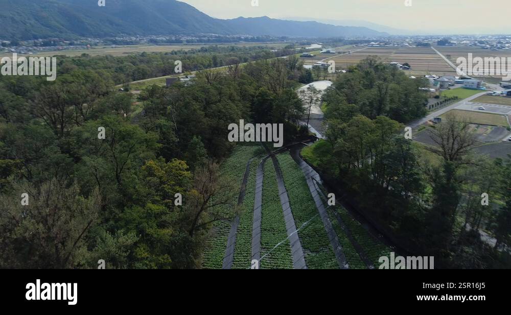Overview Drone shot of Daio Wasabi Farm. Azumino Nagano Japan Stock ...