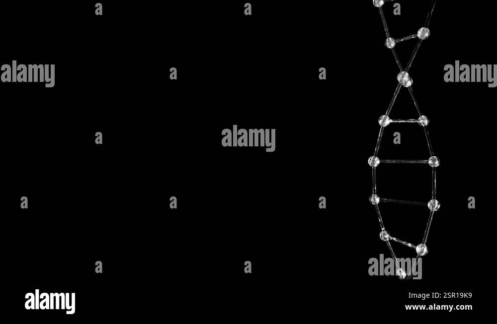 Glass crystal DNA rotating on black and green screen background. Loop ...