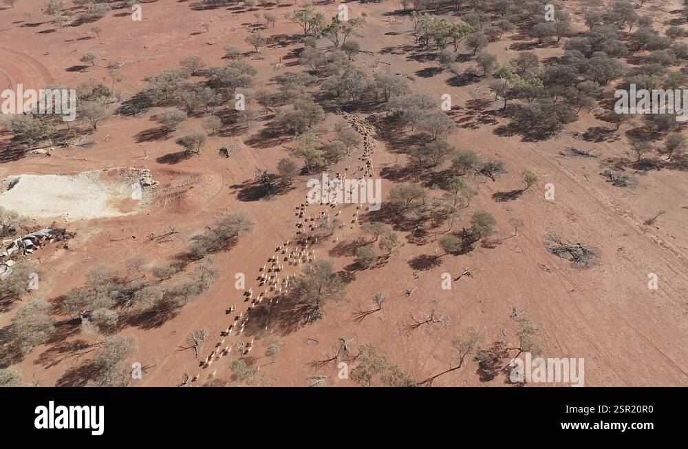 Bourke australia Stock Videos & Footage - HD and 4K Video Clips - Alamy