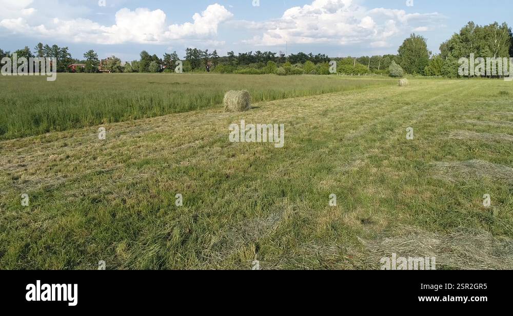 Rural field in summer with bales of hay, drone flying above the bales ...