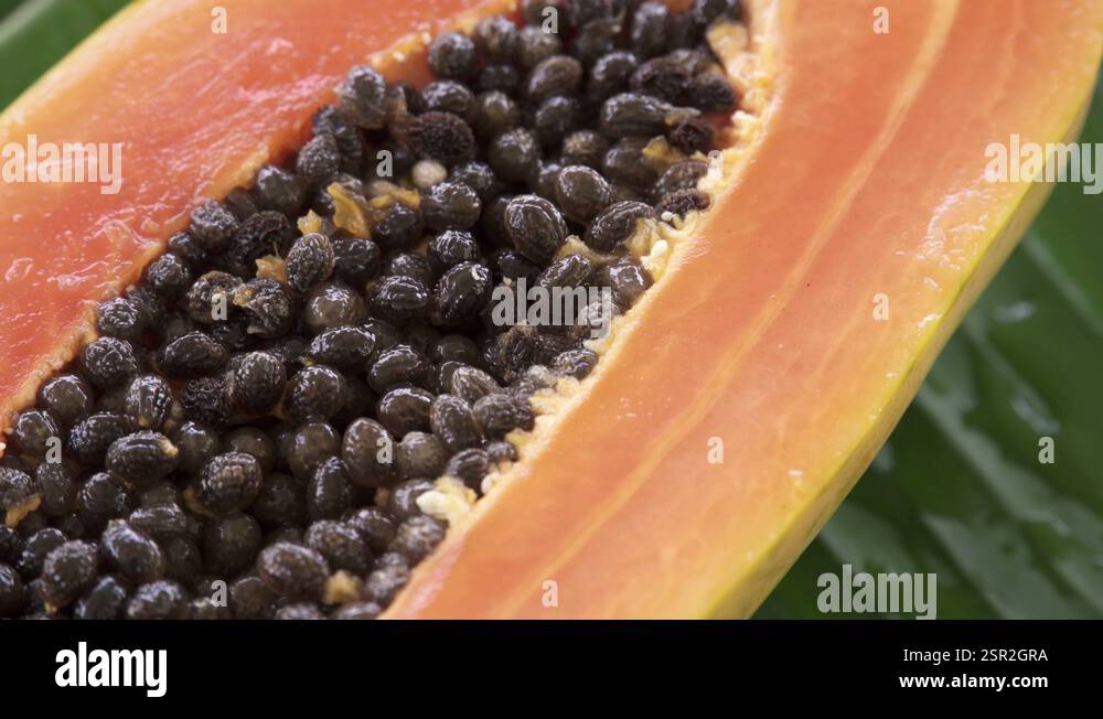 A Half of Fresh Raw Exotic Tropical Thai Fruit Carica Papaya Rotating ...