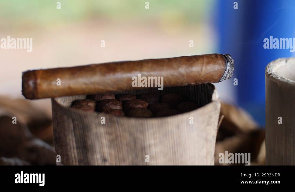 A Farmer Rolls Cigars Inside A Traditional Tobacco Barn Vinales Valley ...