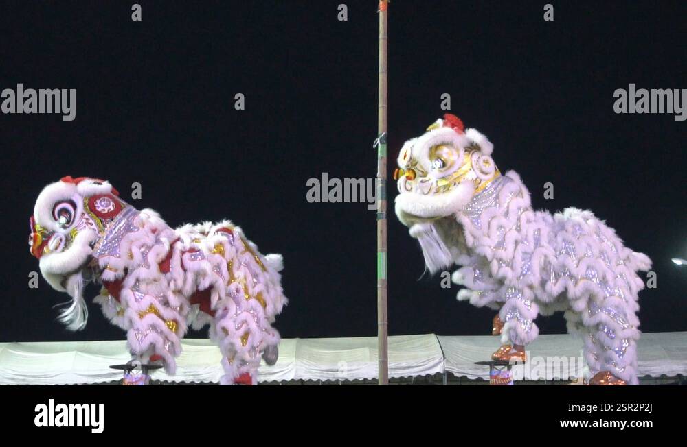Chinese lions dance performing Stock Video Footage - Alamy