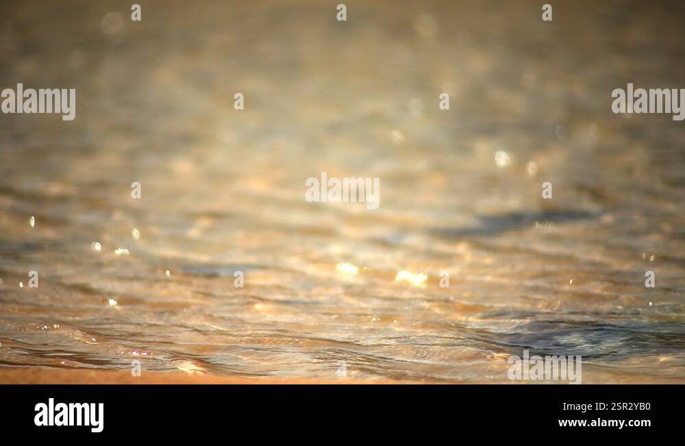 Water reflections focus Stock Videos & Footage - HD and 4K Video Clips ...