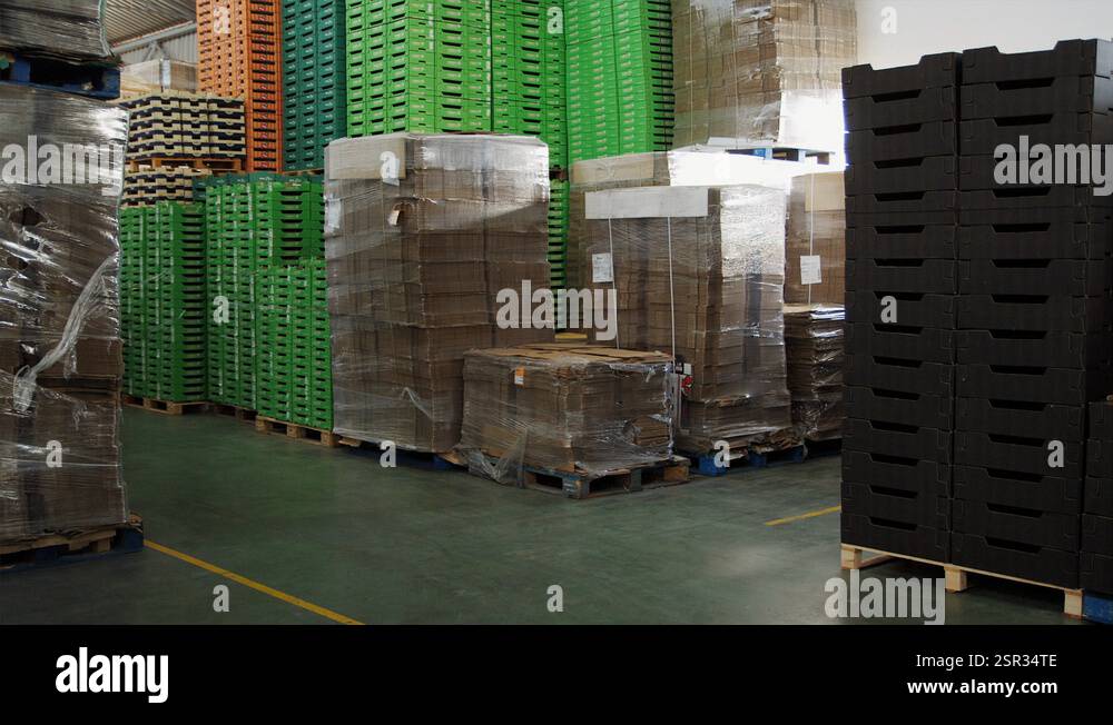 Wide Shot, Dolly Shot, Tracking Shot, Working, Technician, Warehouse ...