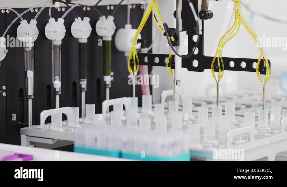 Automated laboratory in technically advanced the clinic is conducting a ...