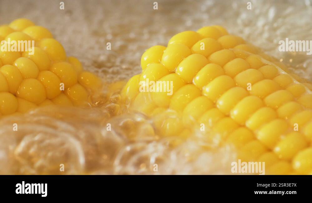 The texture of their bright juicy yellow corn, which is boiled in ...