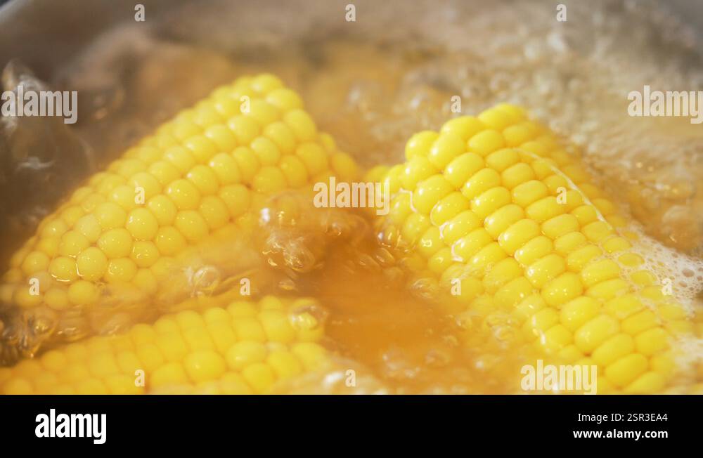 The texture of their bright juicy yellow corn, which is boiled in ...