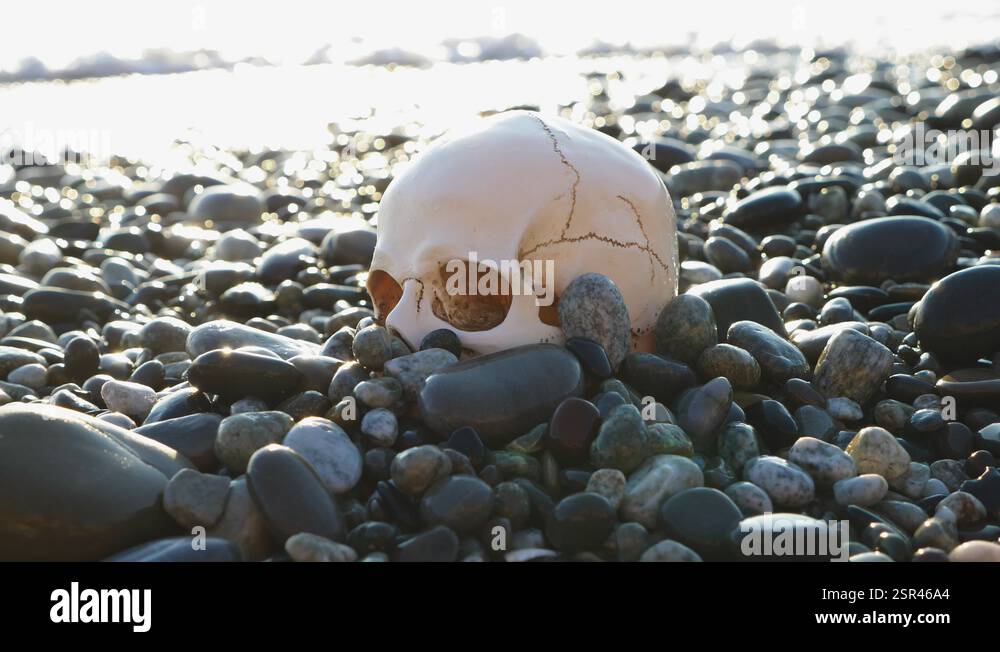 human skull on the beach, under the waves of water Stock Video Footage ...