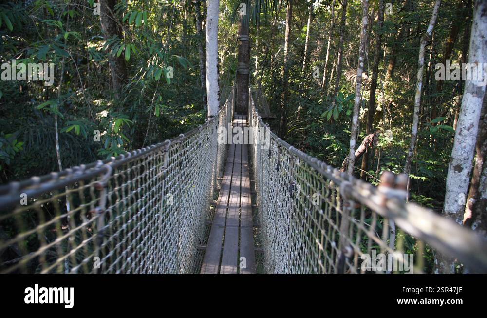 Rope bridge zoo Stock Videos & Footage - HD and 4K Video Clips - Alamy