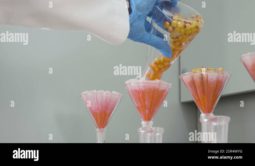 Scientific research. Scientist doing tests in chemical laboratory. 4K ...