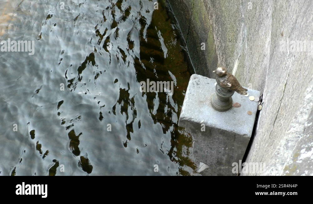 "Chizhik-Pyzhik" is a monument to a bird Stock Video Footage - Alamy