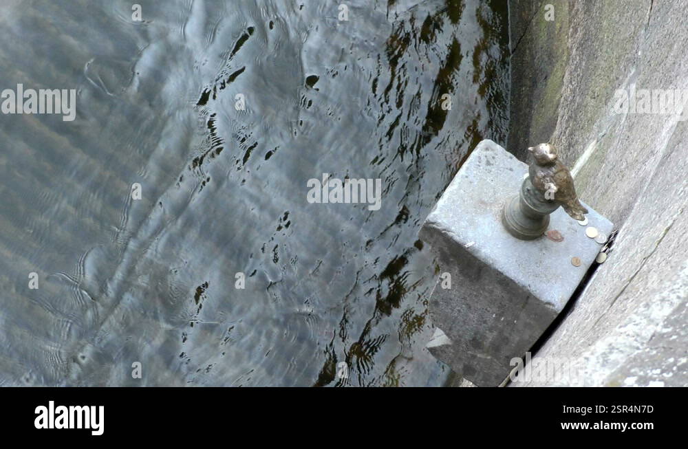 "Chizhik-Pyzhik" is a monument to a bird in St. Petersburg Stock Video ...