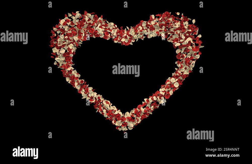 Red White Rose Flower Petals In Heart Shape Alpha Channel seamless Loop ...