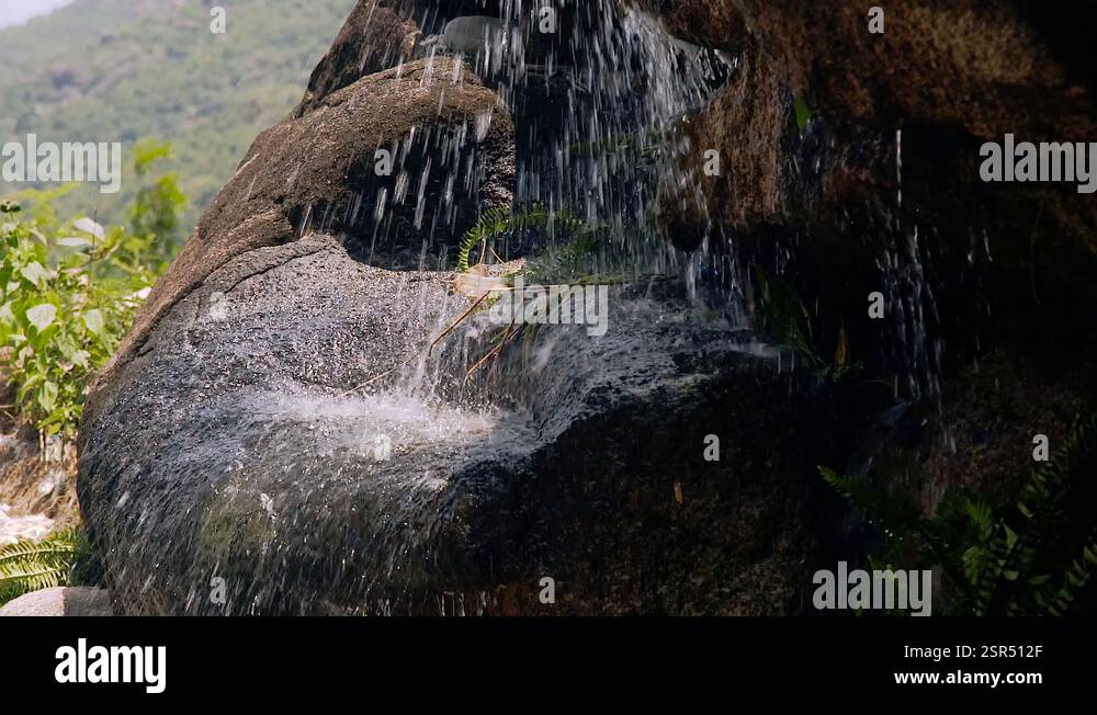 Water stream on waterfall flowing on stones close up. Slow motion water ...