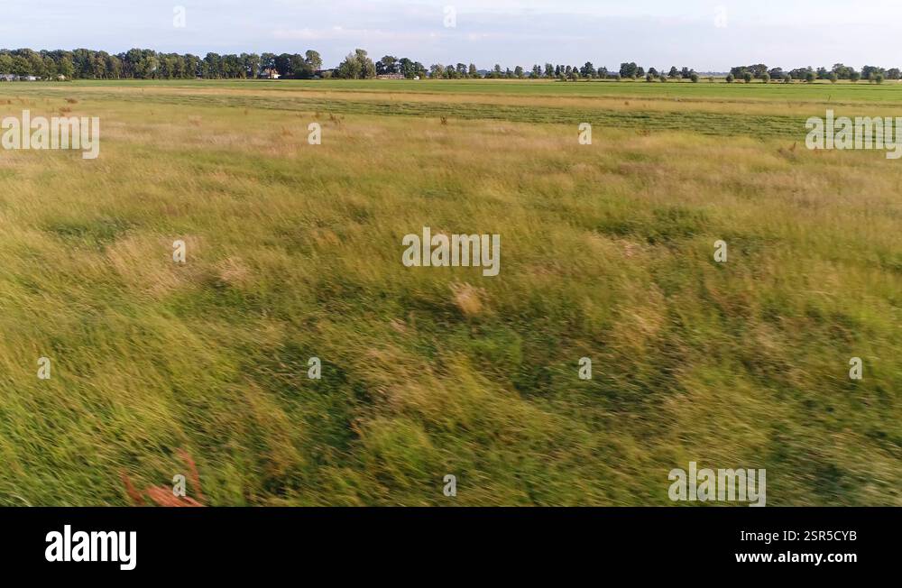 Low altitude aerial footage flying over grassland then moving past ...