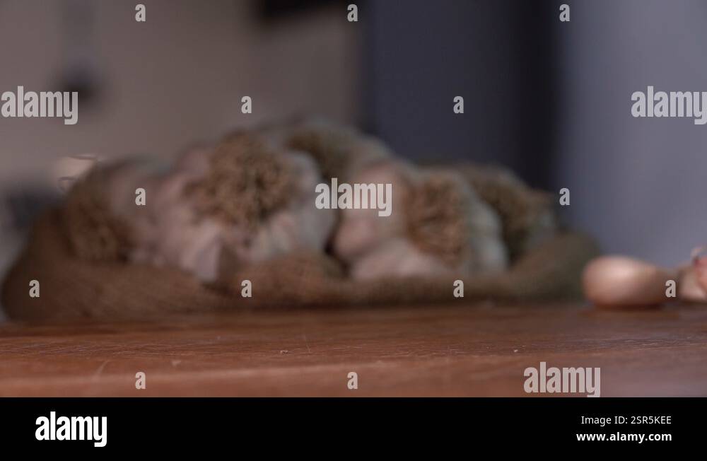 Garlic falling to wood cutting board, on kitchen background. Slow ...