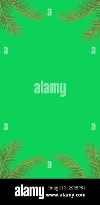 4K Stock video animated footage, green screen background, tropical tree ...