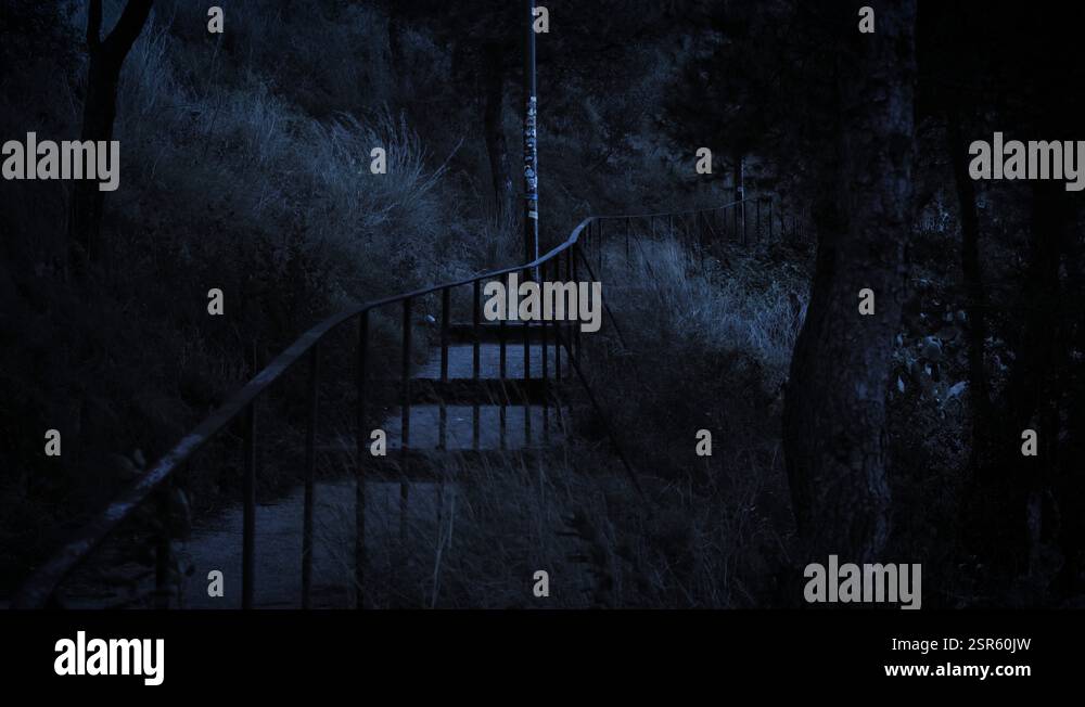 Empty scary road in a dark night park at windy weather. Moonlight night ...