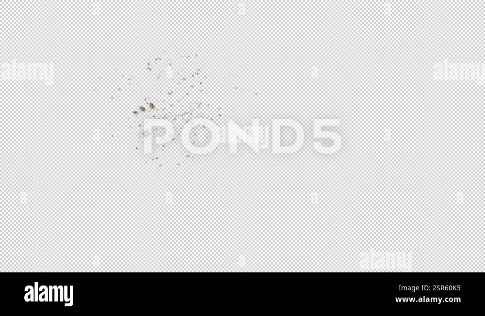 Joyful Gold Text + Alpha Channel Stock Video Footage - Alamy