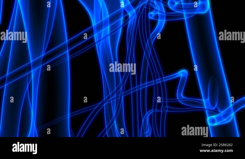 Human Heartbeat Anatomy Stock Video Footage - Alamy