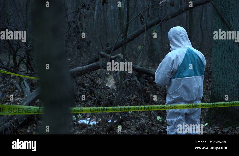 Somebody watching forensic expert at crime scene in the woods, danger ...