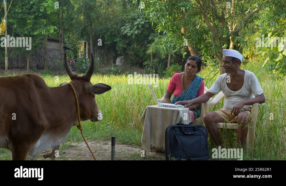 Real farmer couple using modern technology Stock Video Footage - Alamy