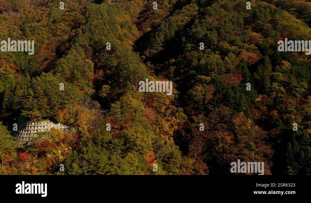 Aerial View Of Autumn Foliage Stock Video Footage - Alamy