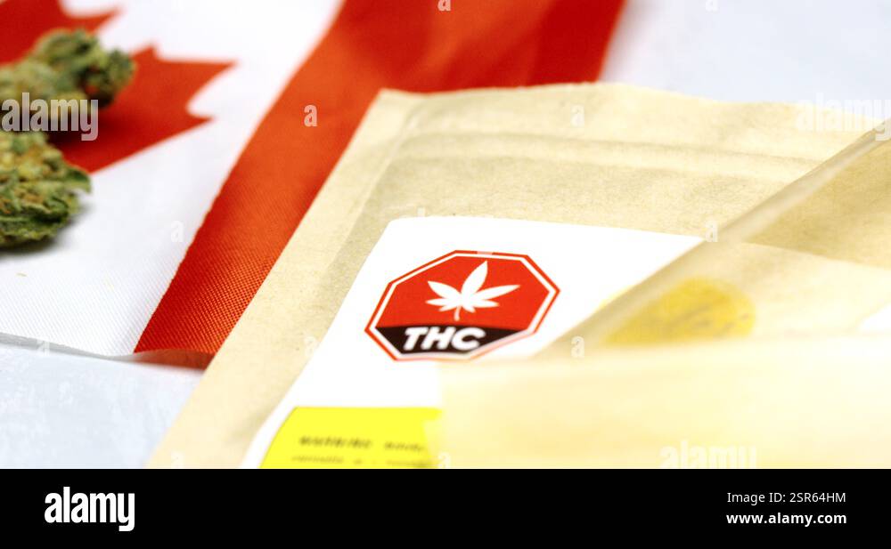 Weed Marijuana on Candian flag - extreme close up - pan with rack focus ...